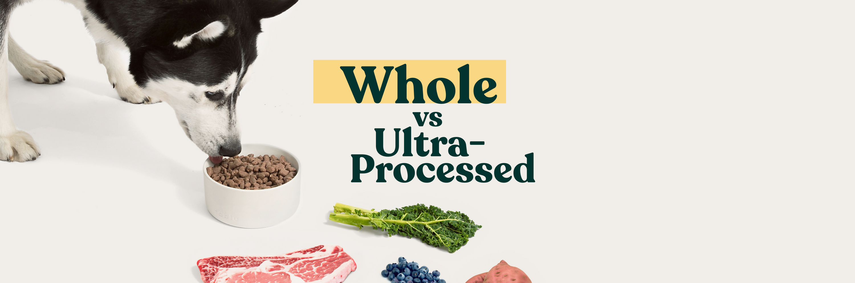 A Brief History on Whole vs. Ultra-Processed Foods for Dogs and Little ...