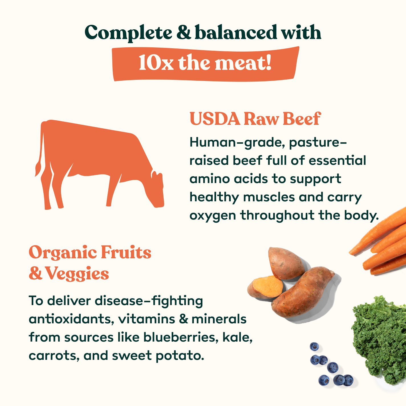 Ready-to-eat Raw Beef Recipe – Little Hunter