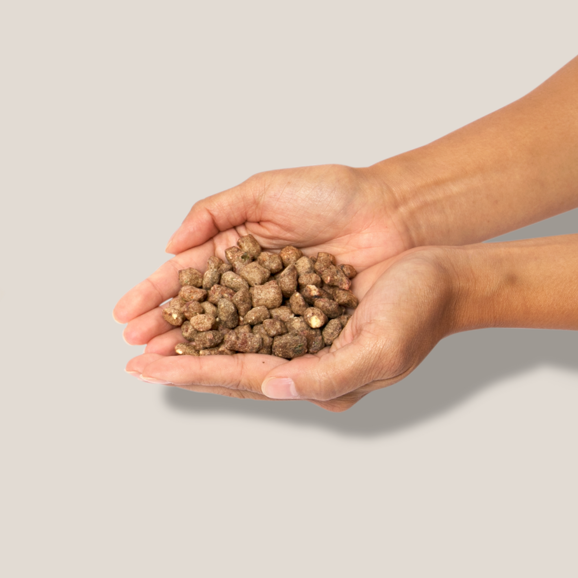 Ready-to-eat Raw Beef Recipe – Little Hunter