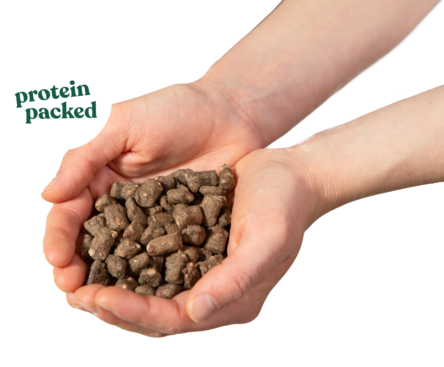 Ready-to-eat Raw Beef Recipe – Little Hunter